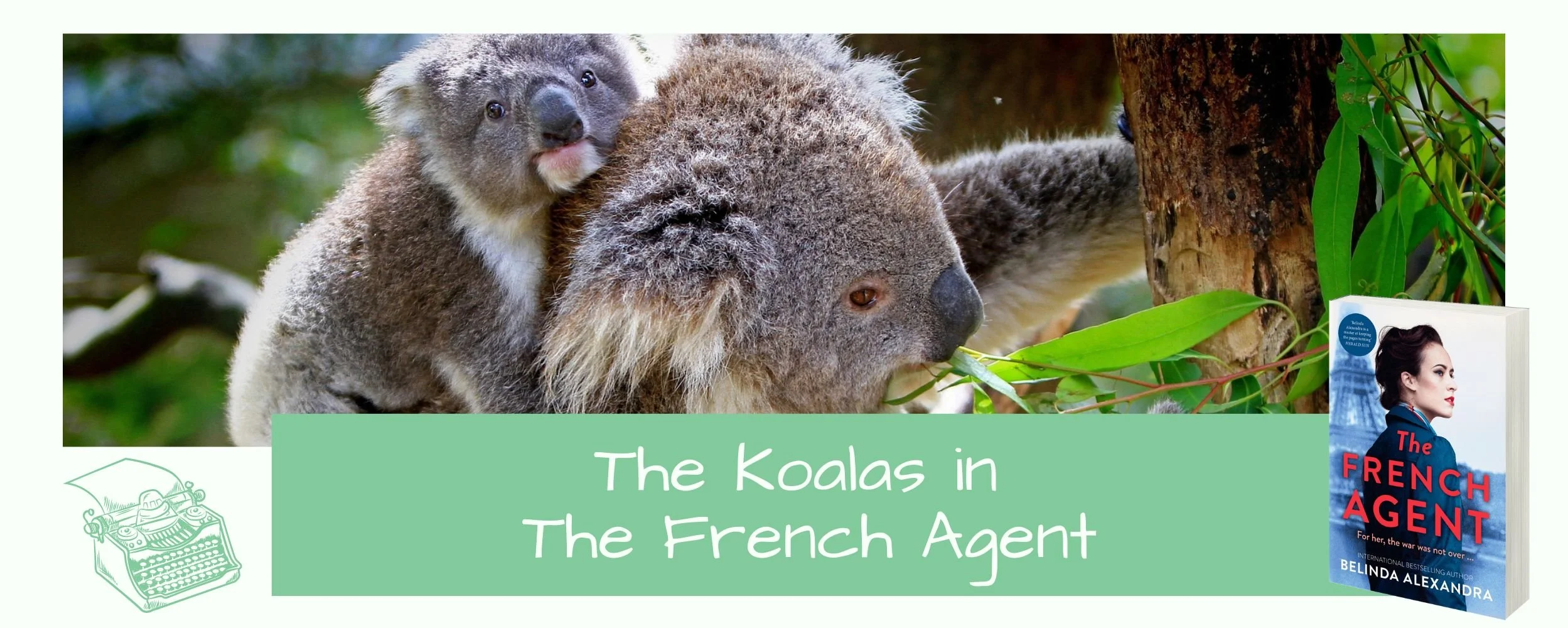 BLOG: The Koalas in The French Agent — Belinda Alexandra