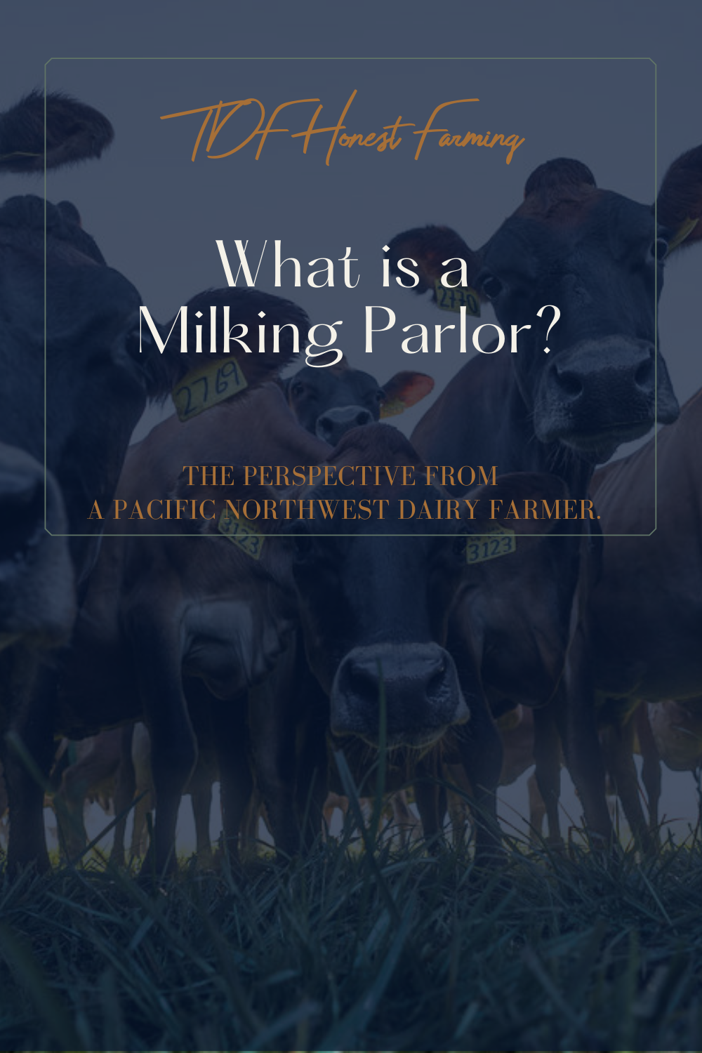 What is a Milking Parlor? — Derrick Josi | TDF Honest Farming