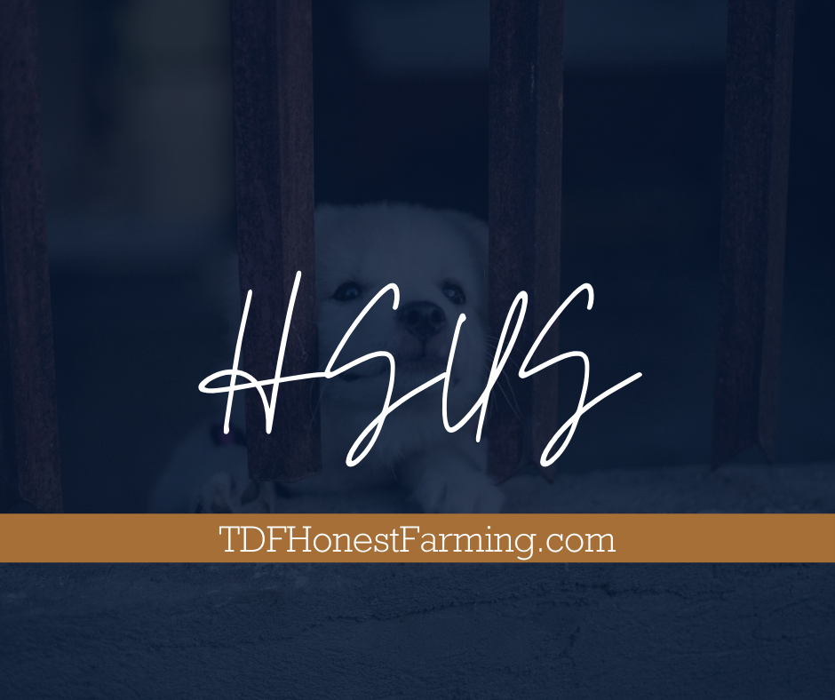 Derrick Josi | TDF Honest Farming