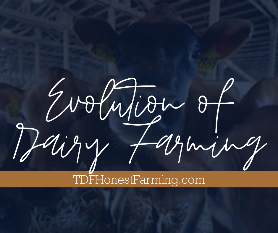 Derrick Josi | TDF Honest Farming