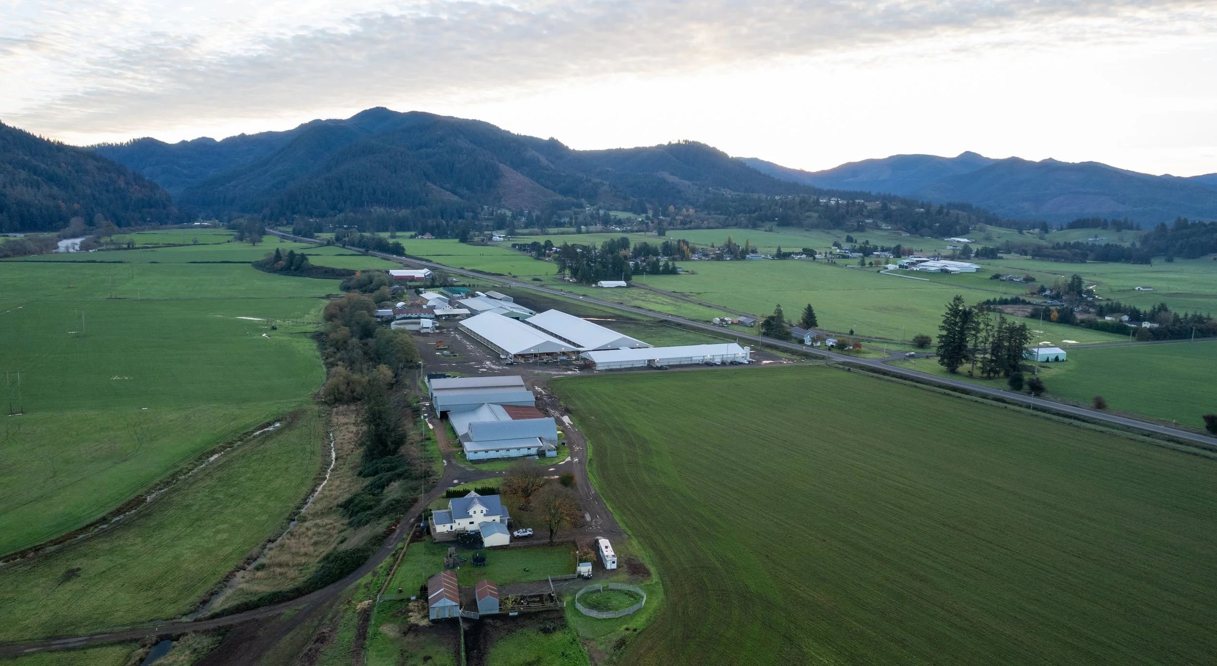 Wilsonview Dairy, Tillamook, Oregon — Derrick Josi | TDF Honest Farming