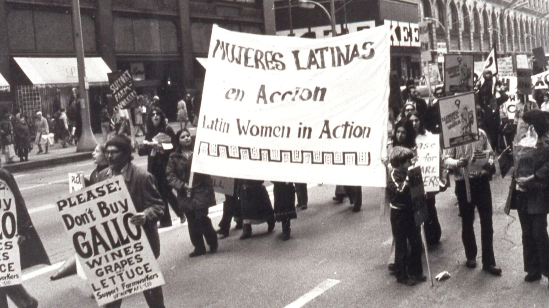 Chicago Women's History Center