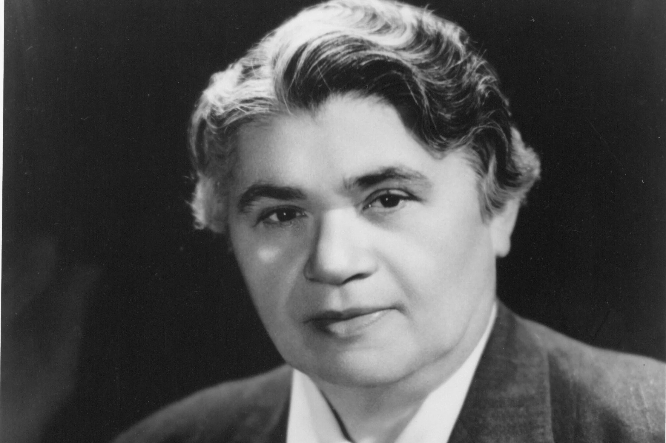 Women Building Chicago Entries — Chicago Women's History Center