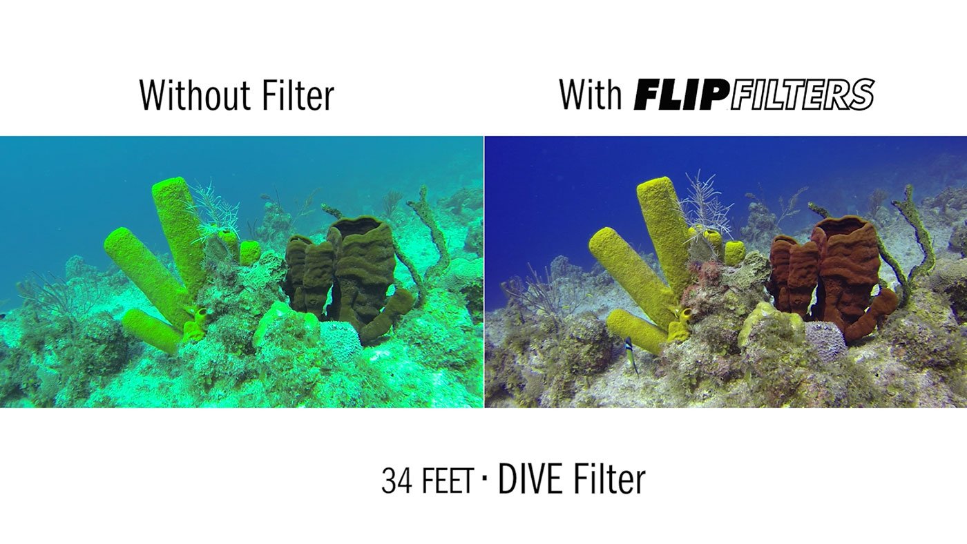 Light & Motion Nightsea Phosphor Filter & Holder — Aquatic Imaging ...