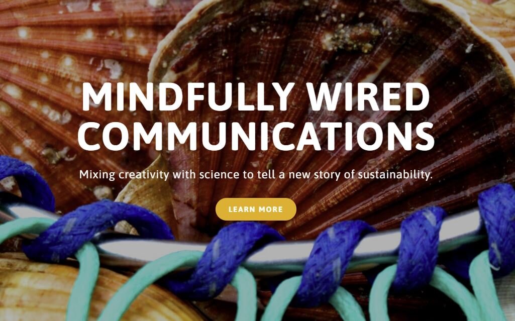 Mindfully Wired Communications Strategy — Kerri Hall