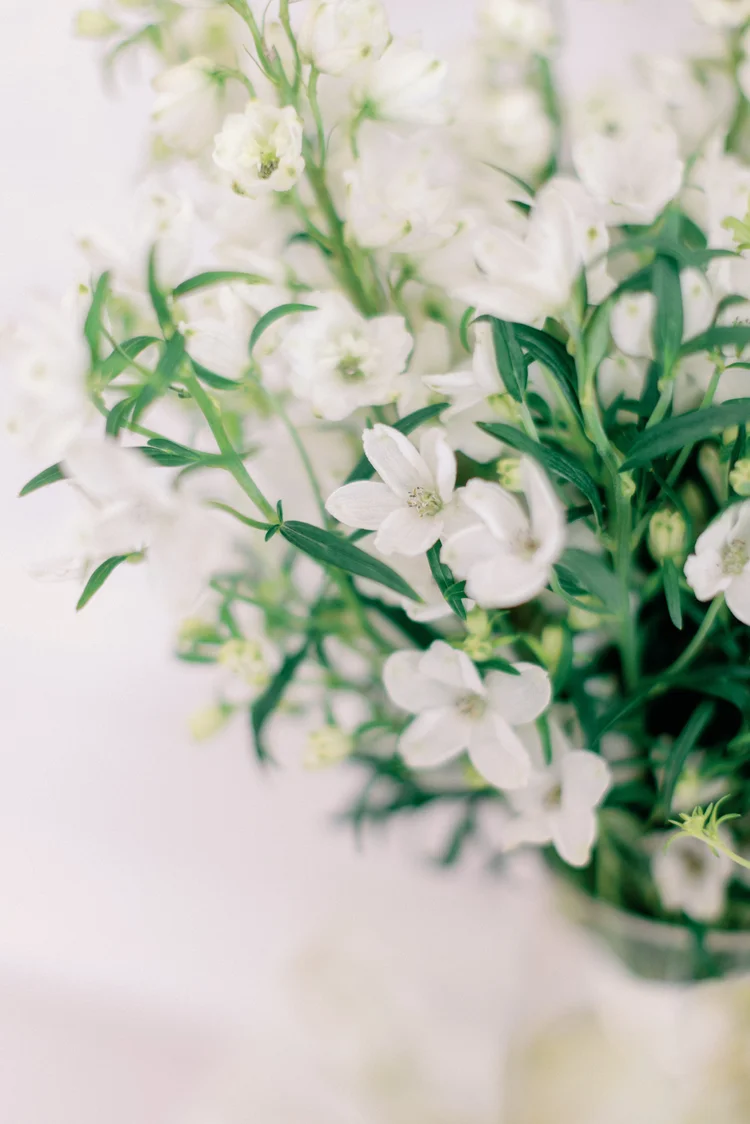 Chloe + Brandon — Liberty Lane Flowers