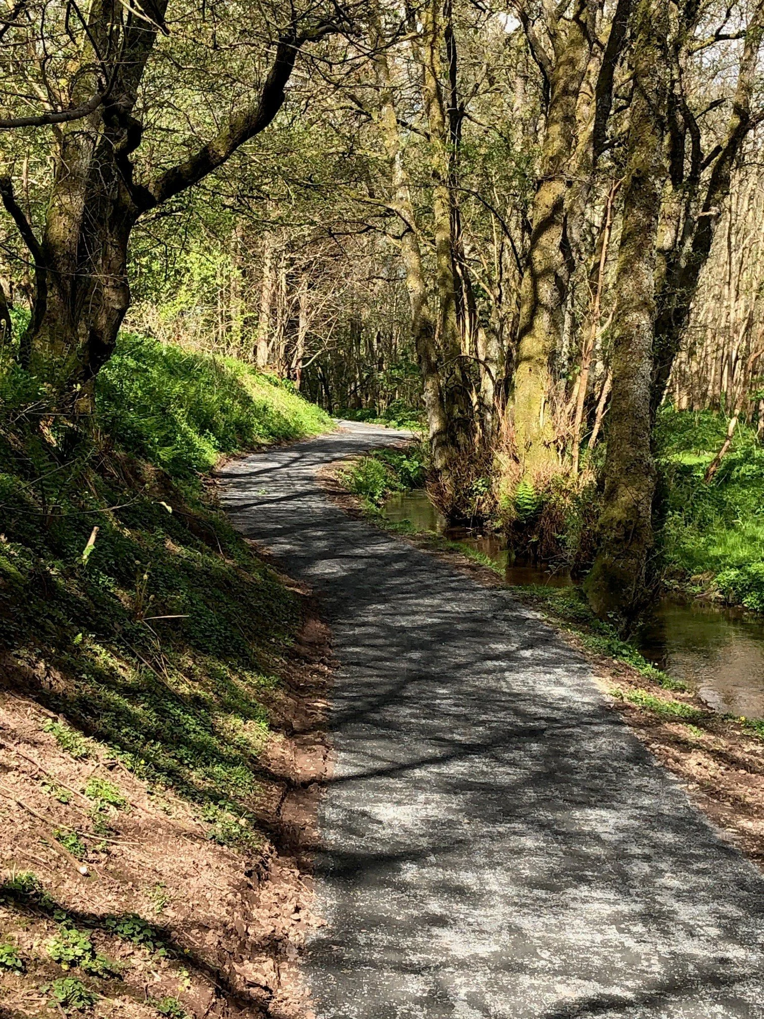 Mill Lade Path Upgrade Completed — acsr.org.uk