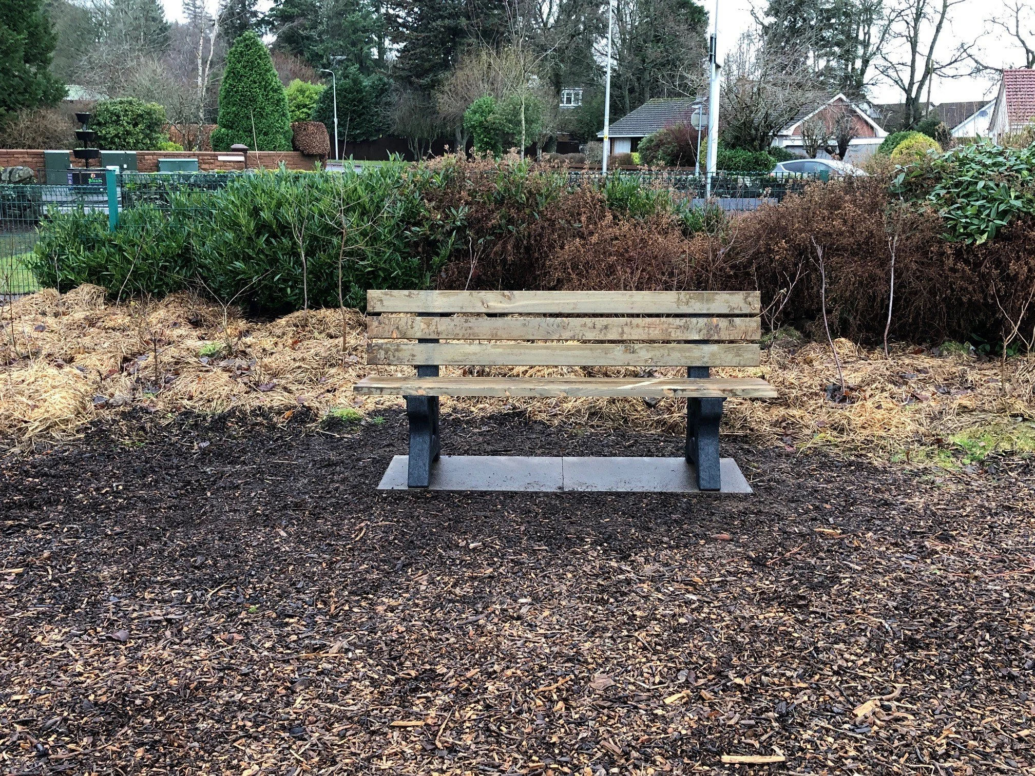 New Year Delivery for the Pocket Forest — acsr.org.uk