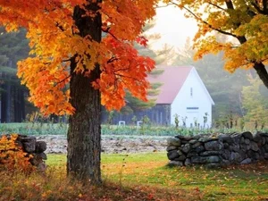 Muster Field Farm Museum