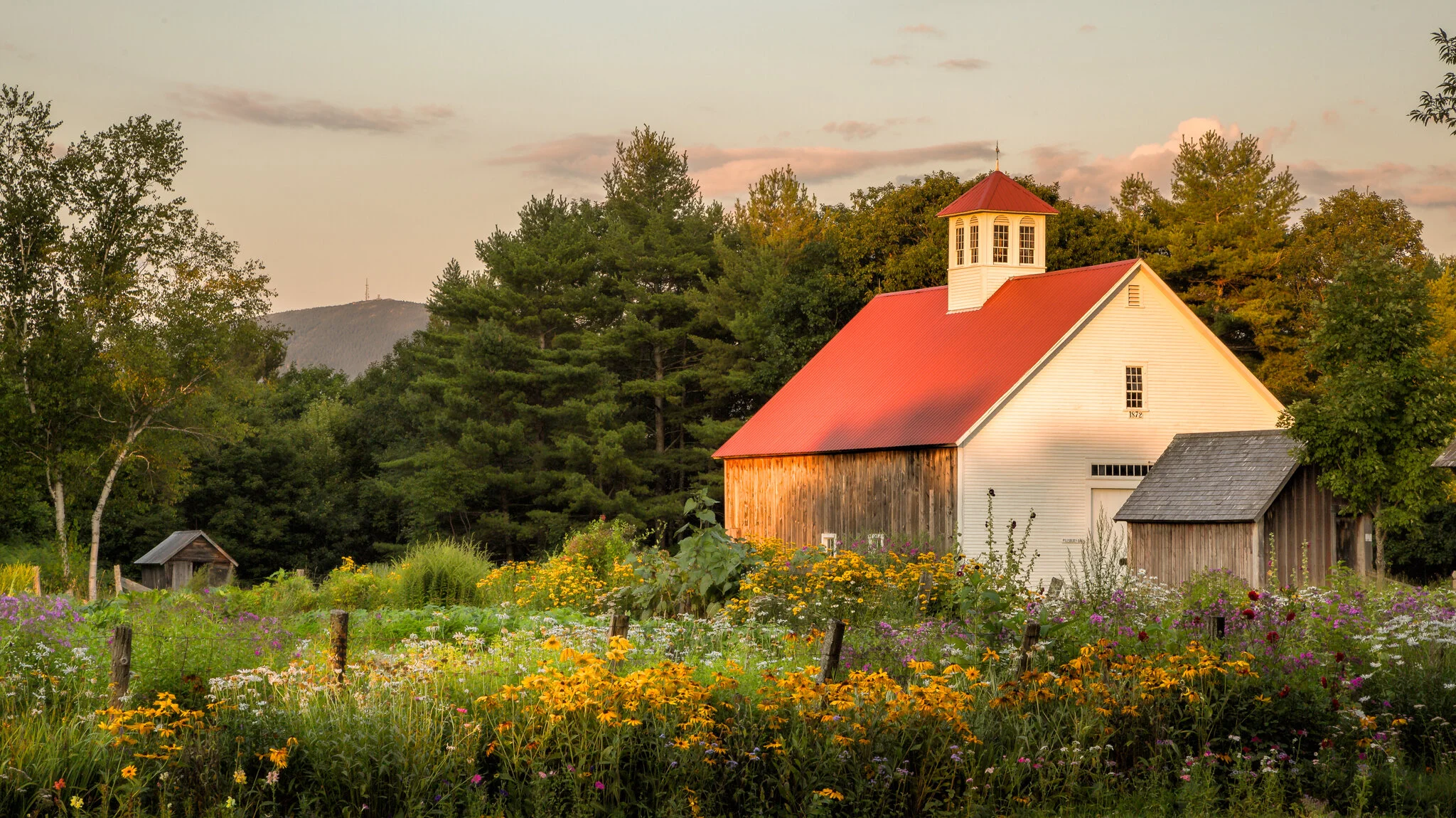 Gallery — Muster Field Farm Museum