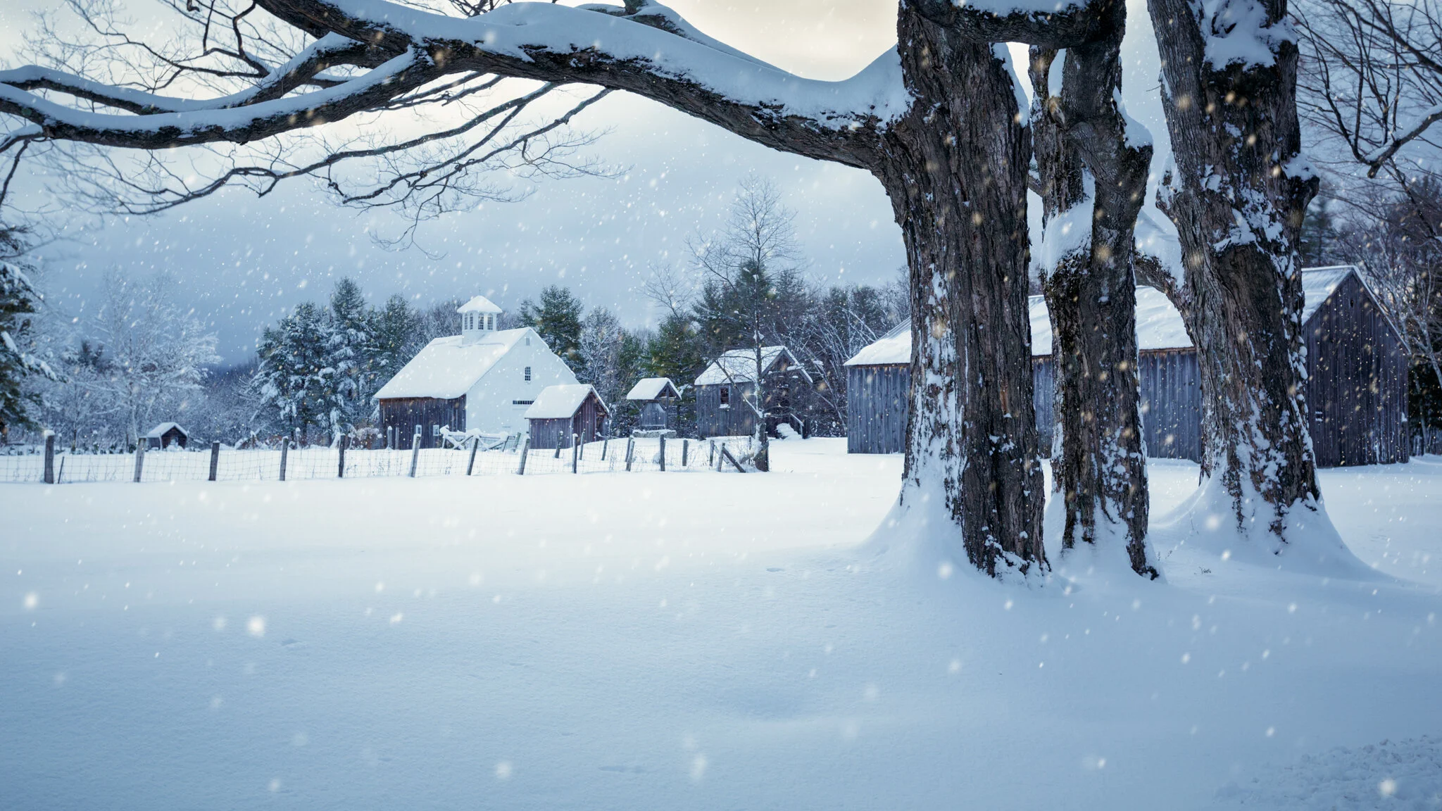 Gallery — Muster Field Farm Museum