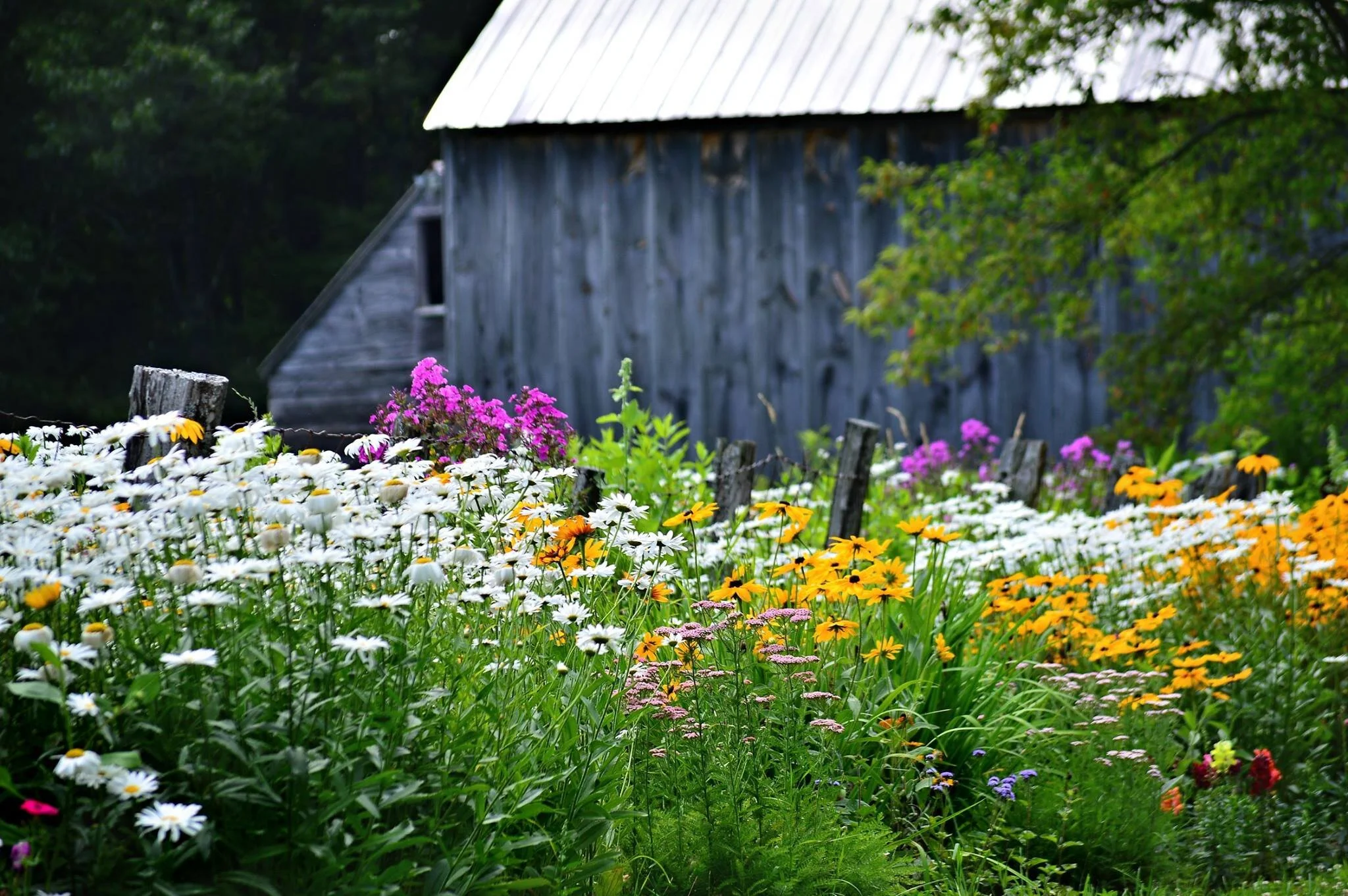Gallery — Muster Field Farm Museum