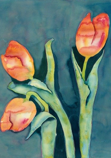 Visual Arts Classes — Sebastopol Center For the Arts, California