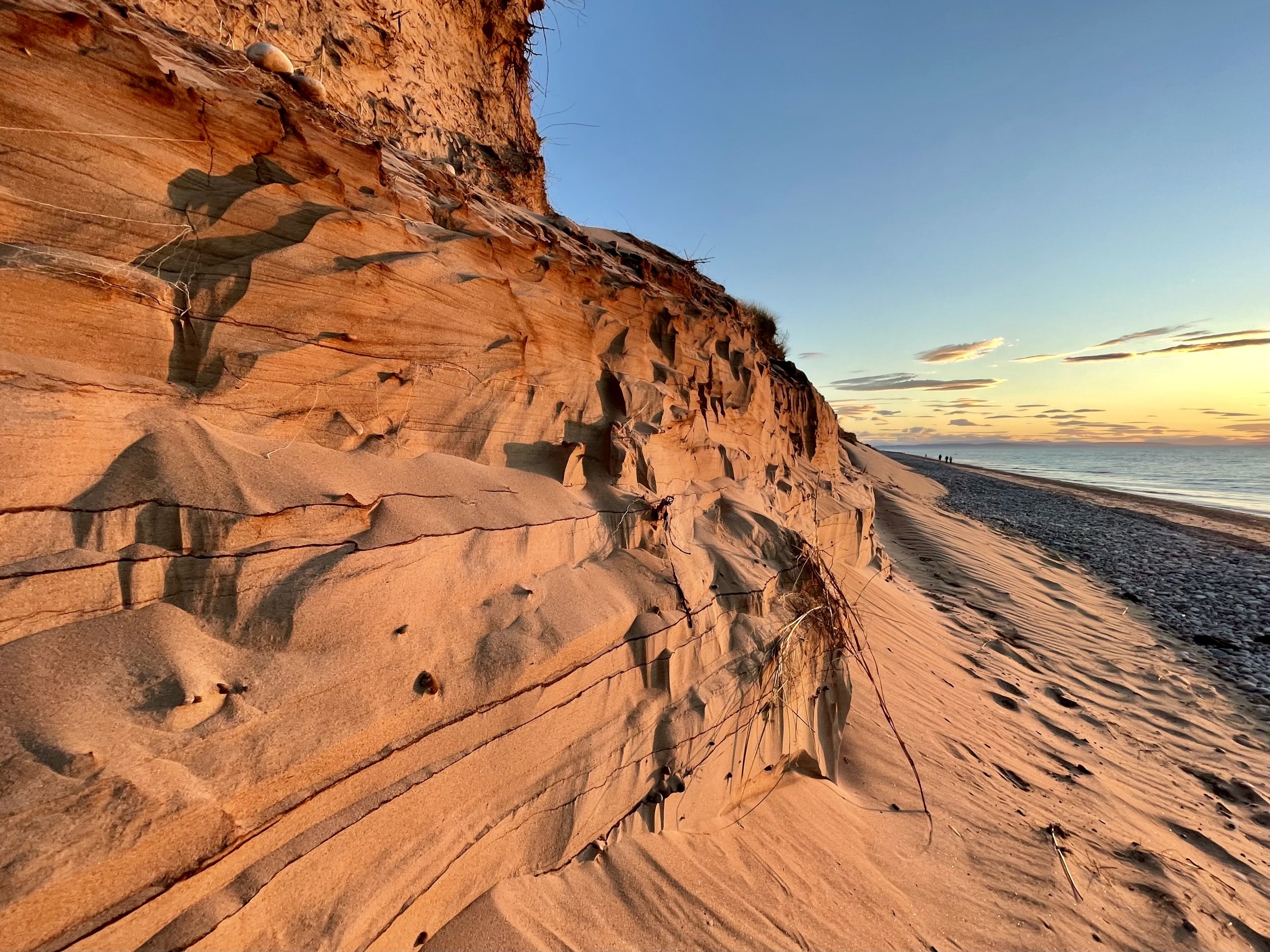 WildMind Deep Ecopsychology