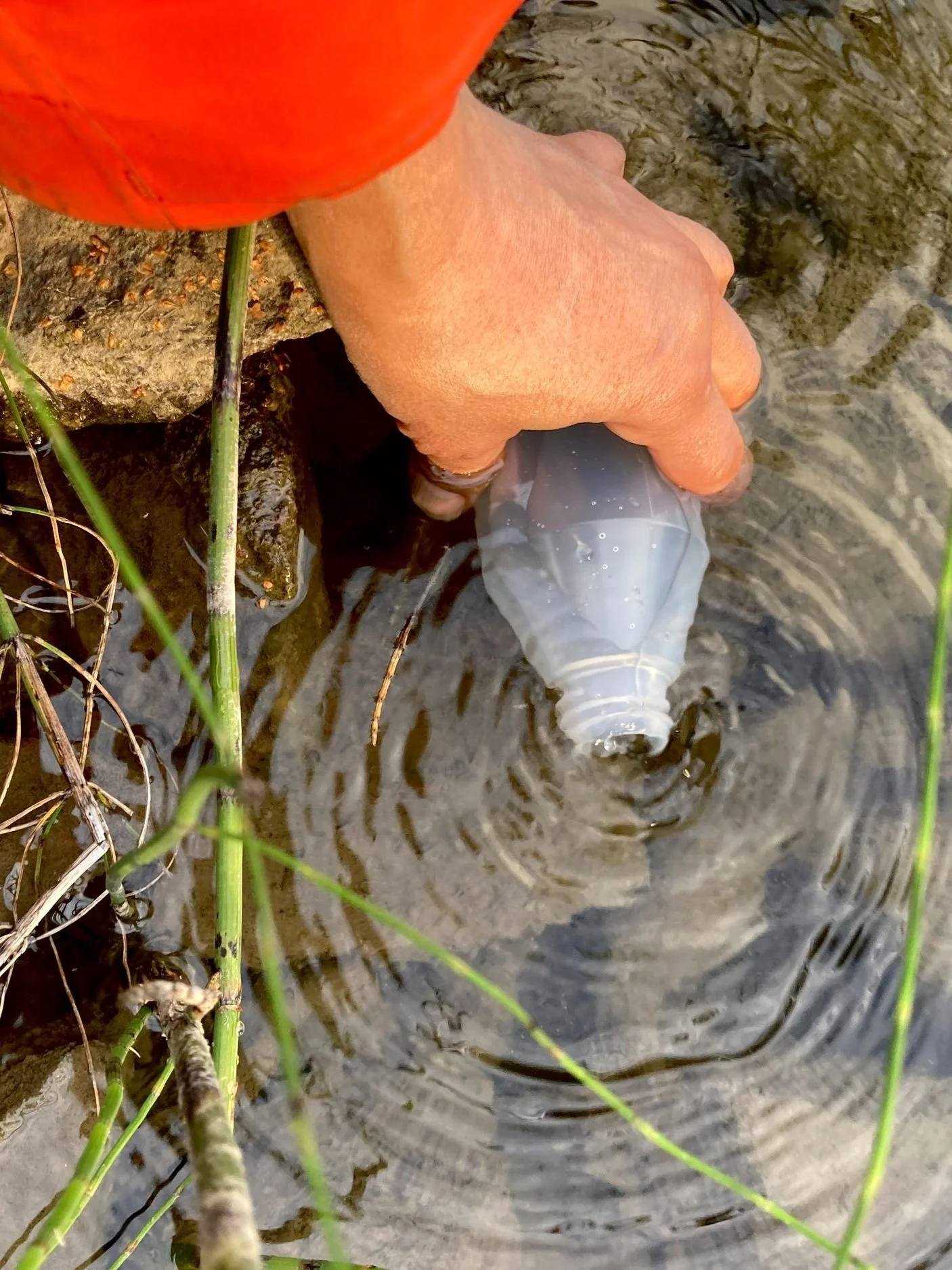 Sense of Water, 2022–26 — Empirica