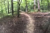 MOUNTAIN — Discover Memphis Naturally
