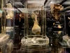 Museum Vrolik — The Alternative Guide