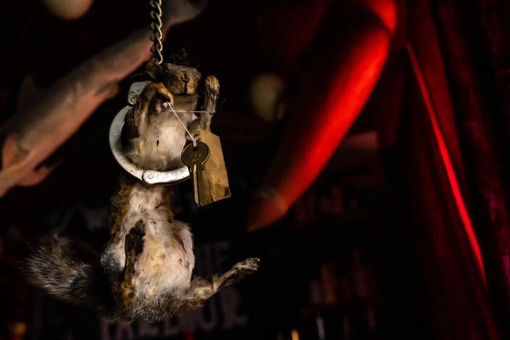 The Viktor Wynd Museum of Curiosities, Fine Art & Natural History — The ...