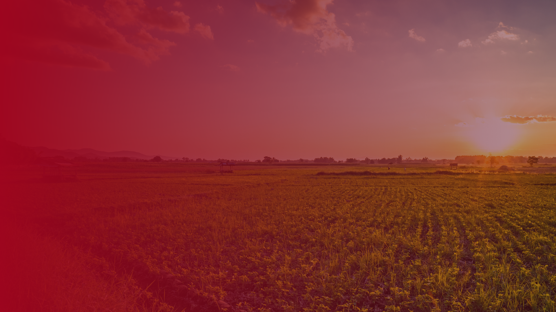First Nations Food Sovereignty Forum