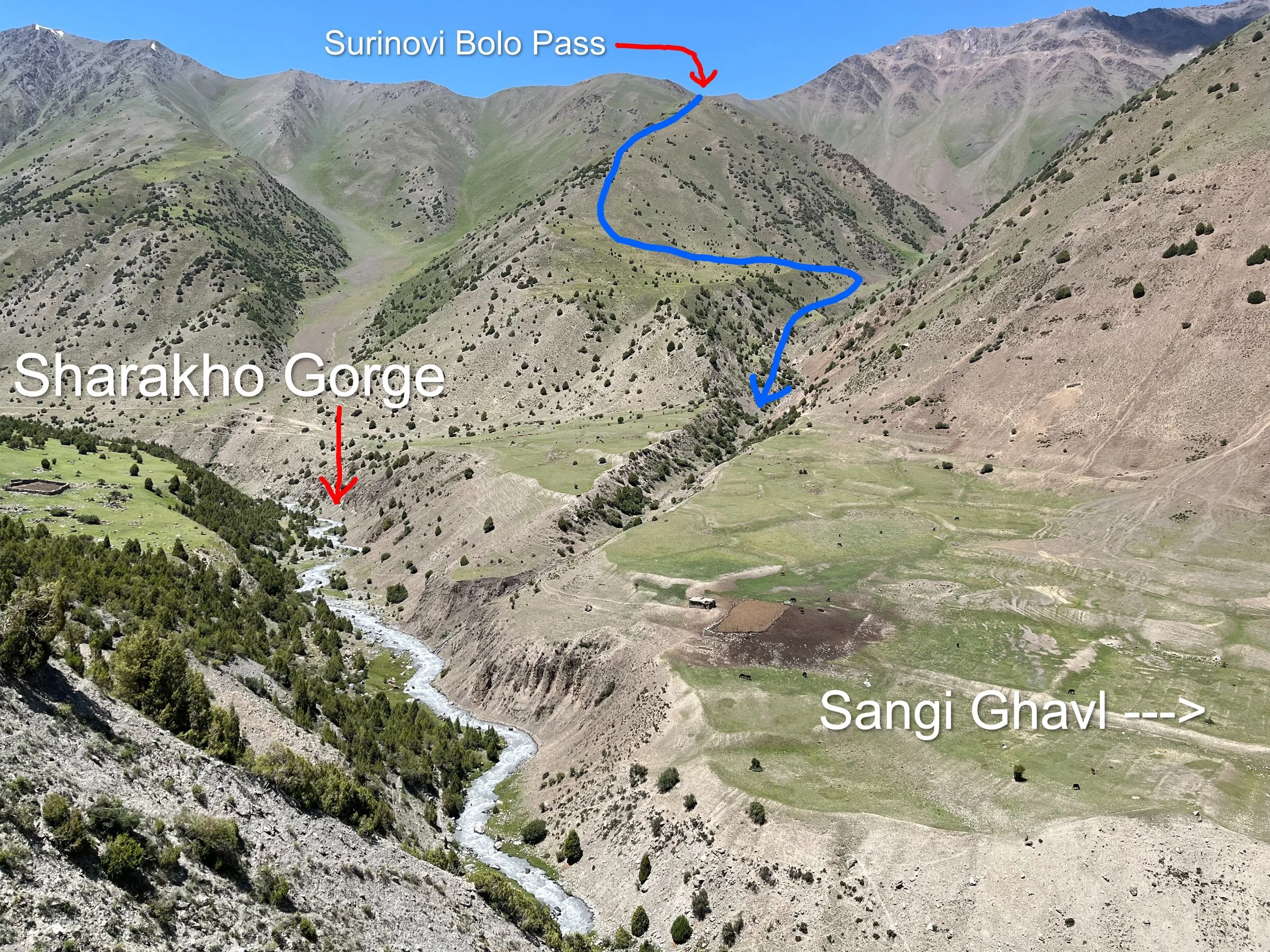Surinovi Bolo Pass | Discover & Hike Surinovi Bolo Pass Today — Takali.org