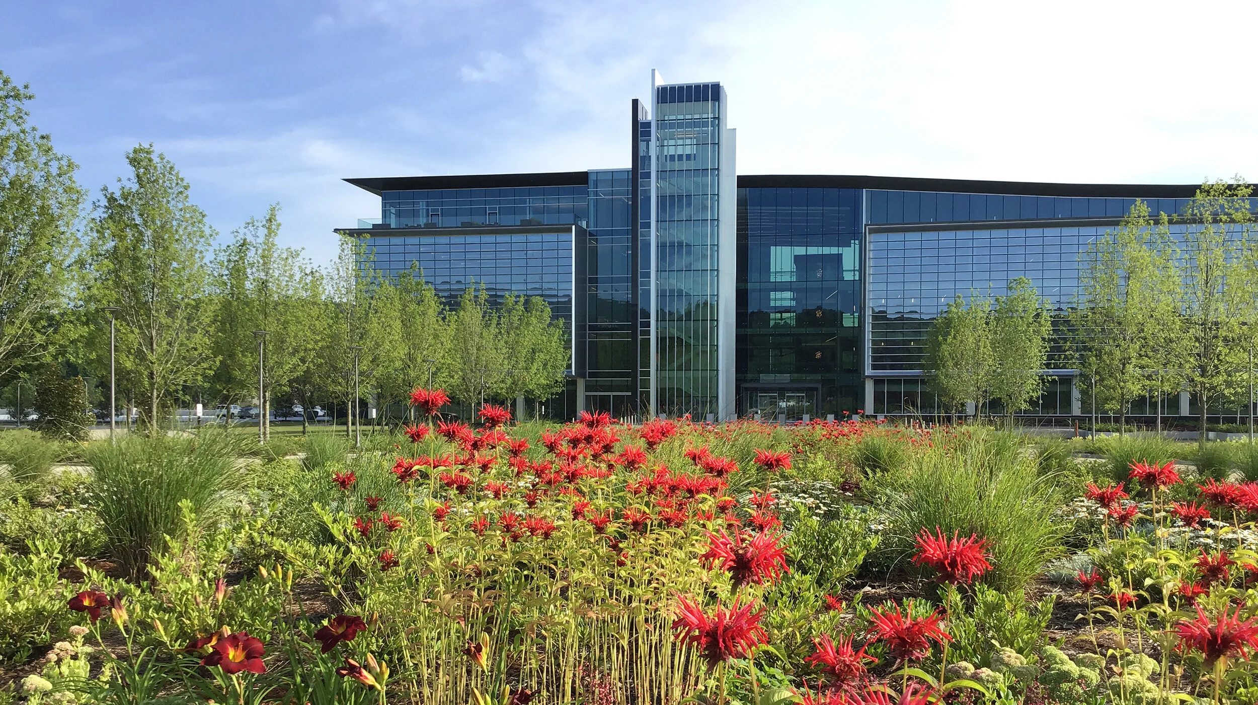 American Studio Outside