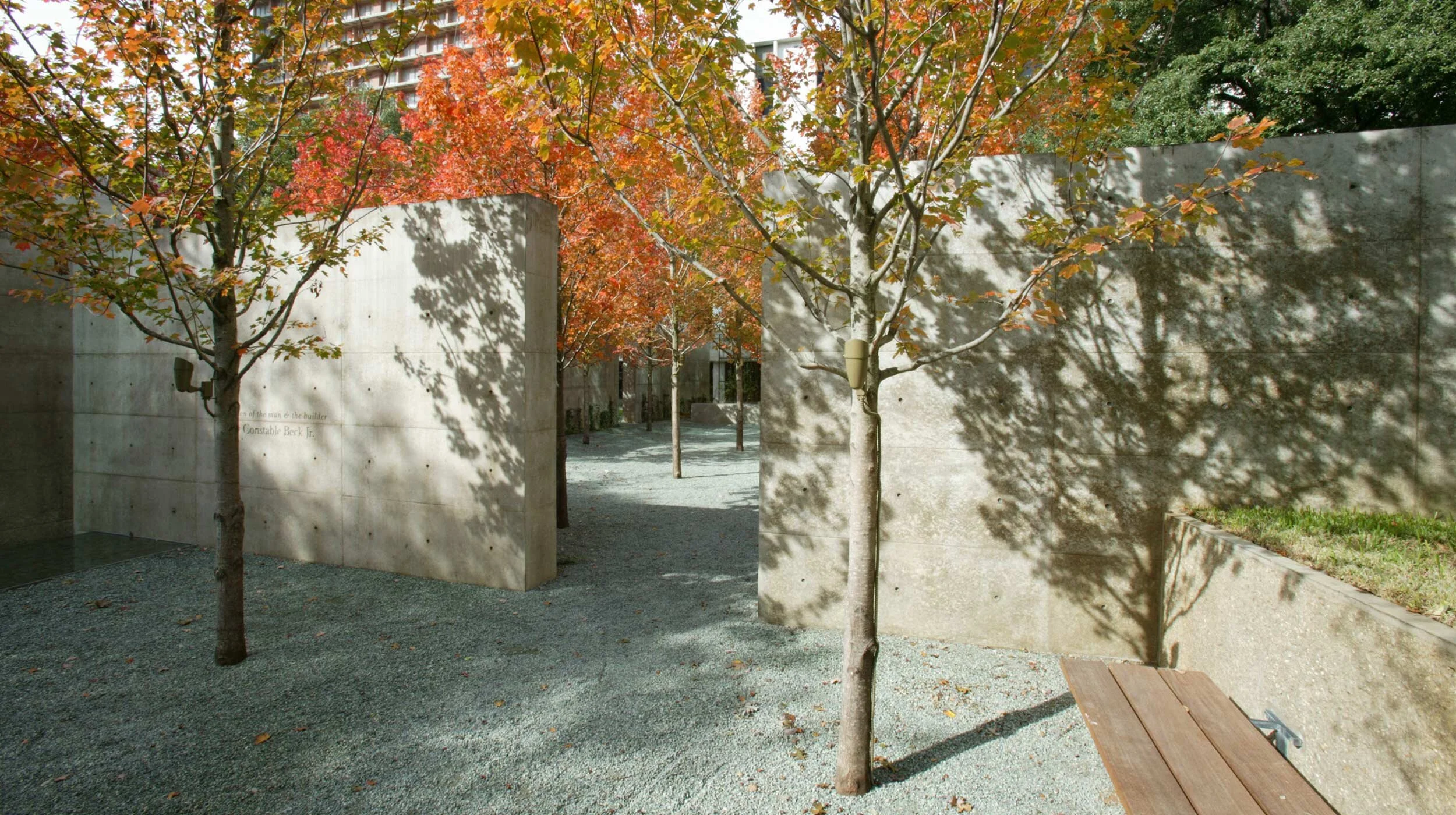Beck Park — StudioOutside