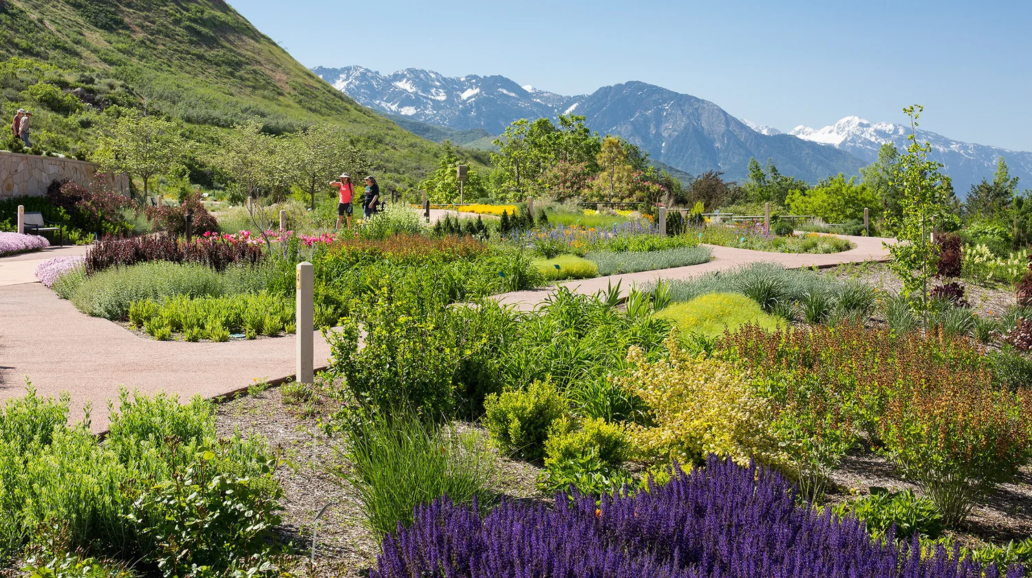 Water Conservation Garden — StudioOutside