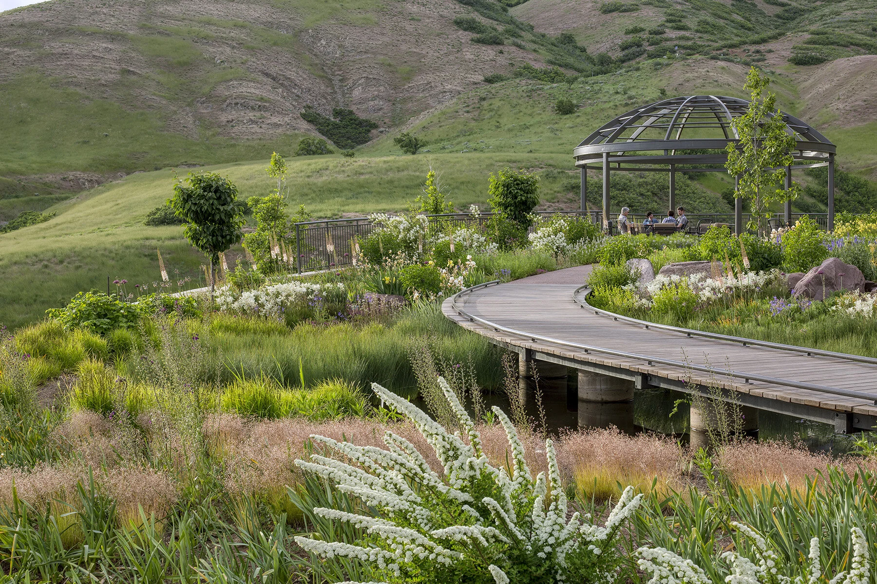 Water Conservation Garden — StudioOutside