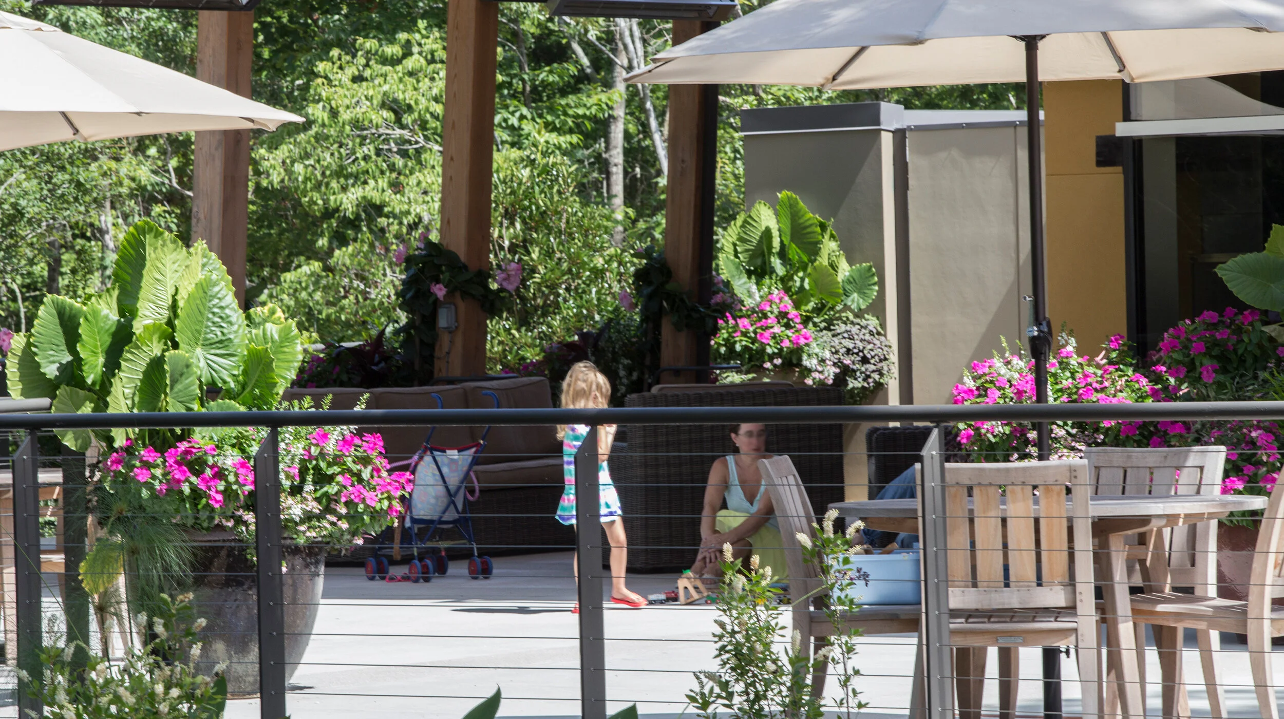 Atlanta Botanical Garden Gainesville — StudioOutside