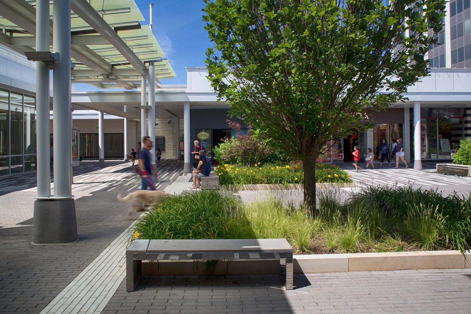 Oakbrook Center — StudioOutside