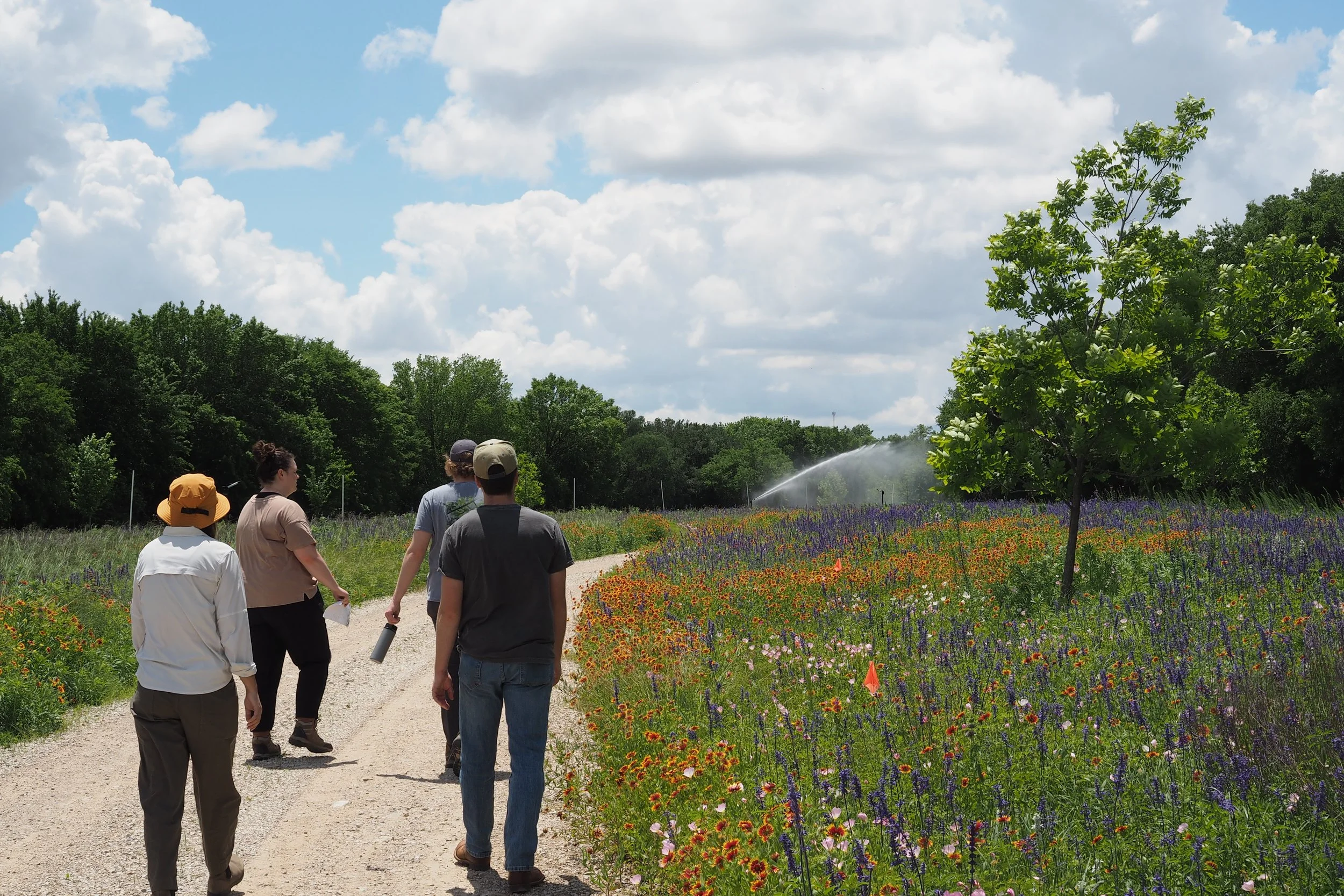 Circle T Ranch Master Plan — StudioOutside