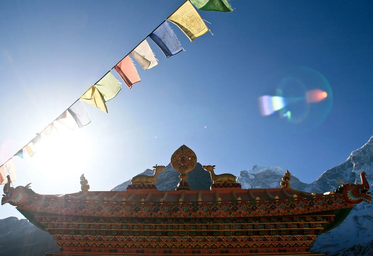 HoH Muse Sarah Utterback Shares Some of Her Favorite Things — House of ...