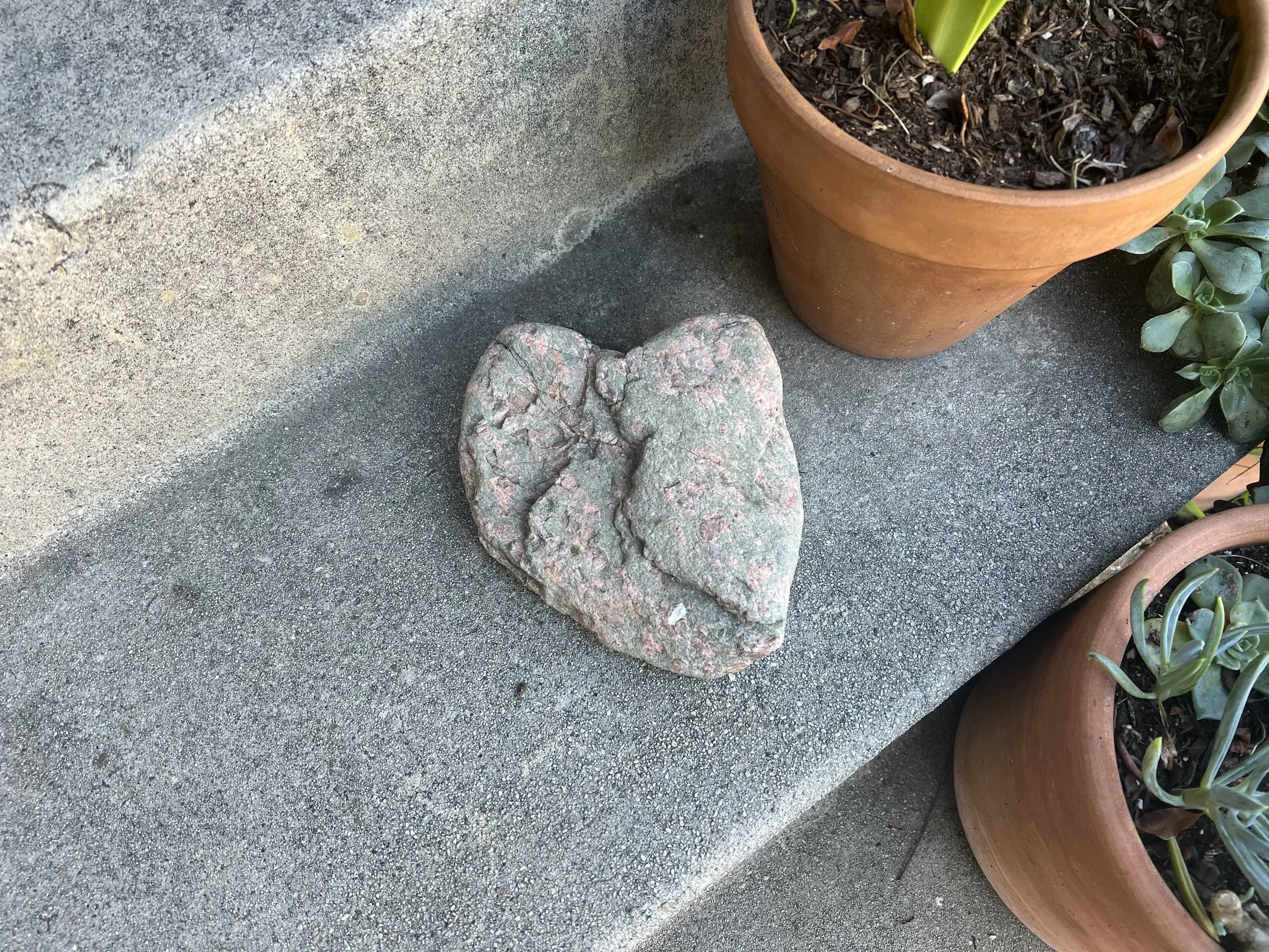 HoH Muse Sarah Utterback Shares Some of Her Favorite Things — House of ...