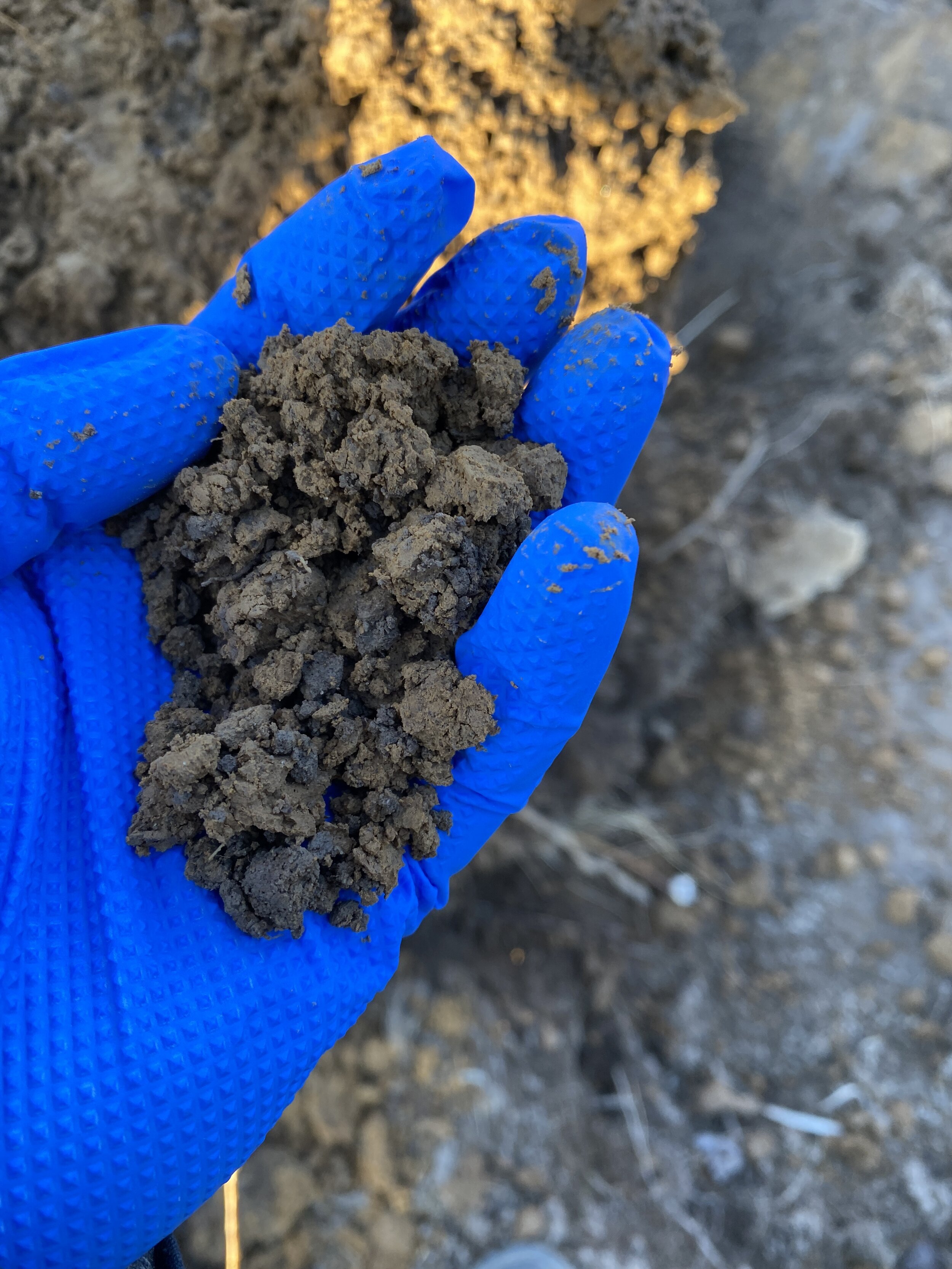 Projects — Rock Leaf Water Environmental