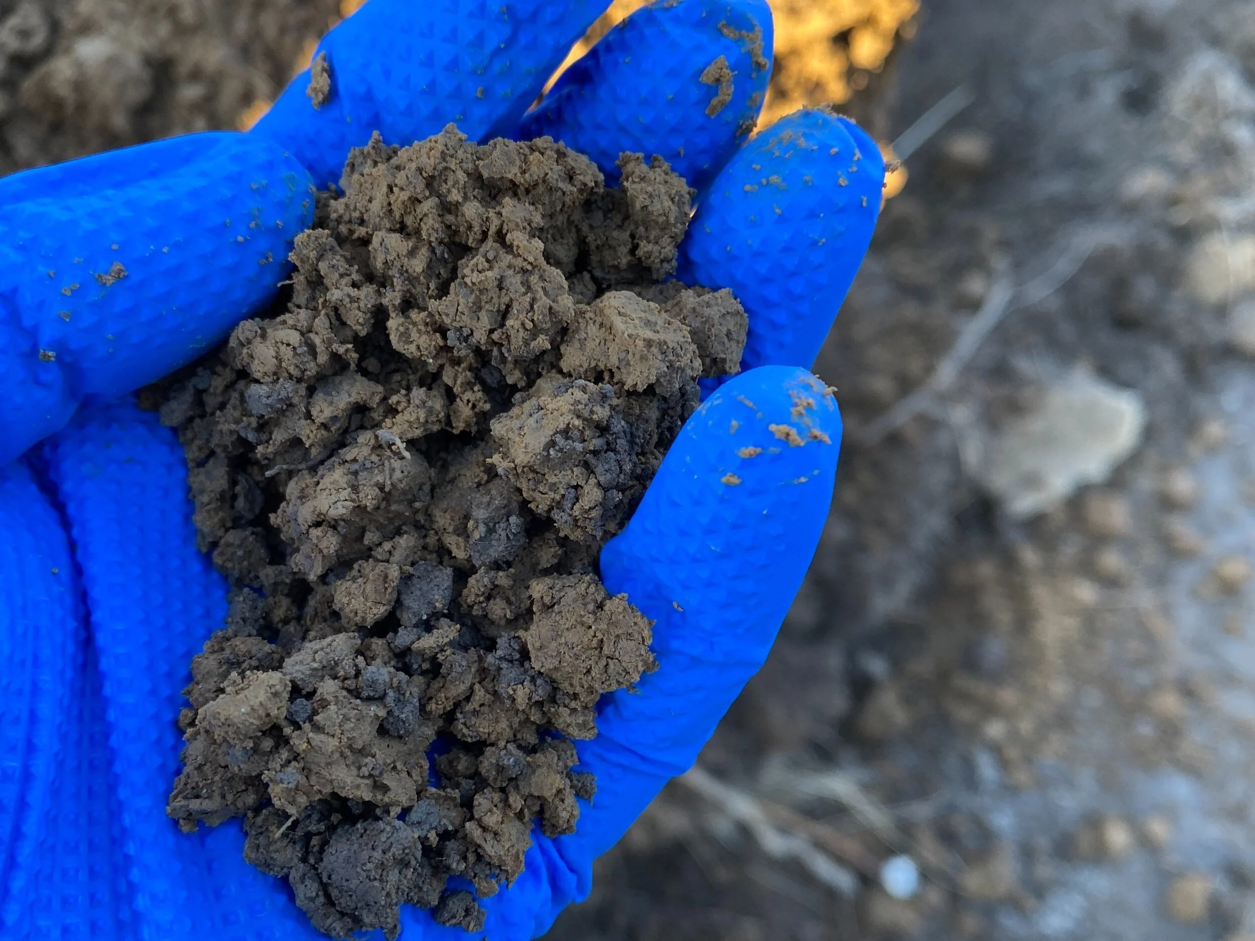 Soil Remediation — Rock Leaf Water Environmental