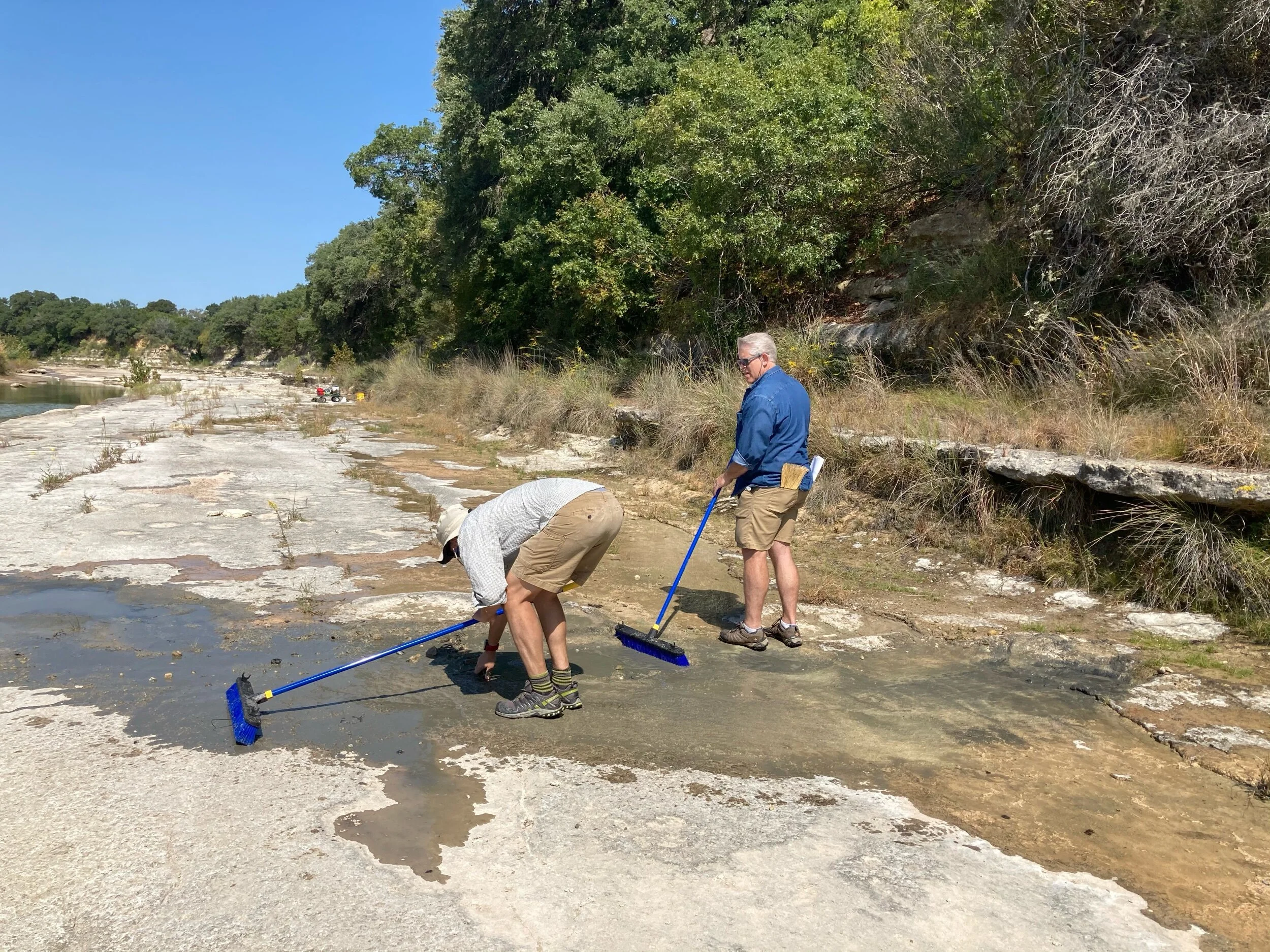 These are large tracks! — Alexis Godet, Ph.D.