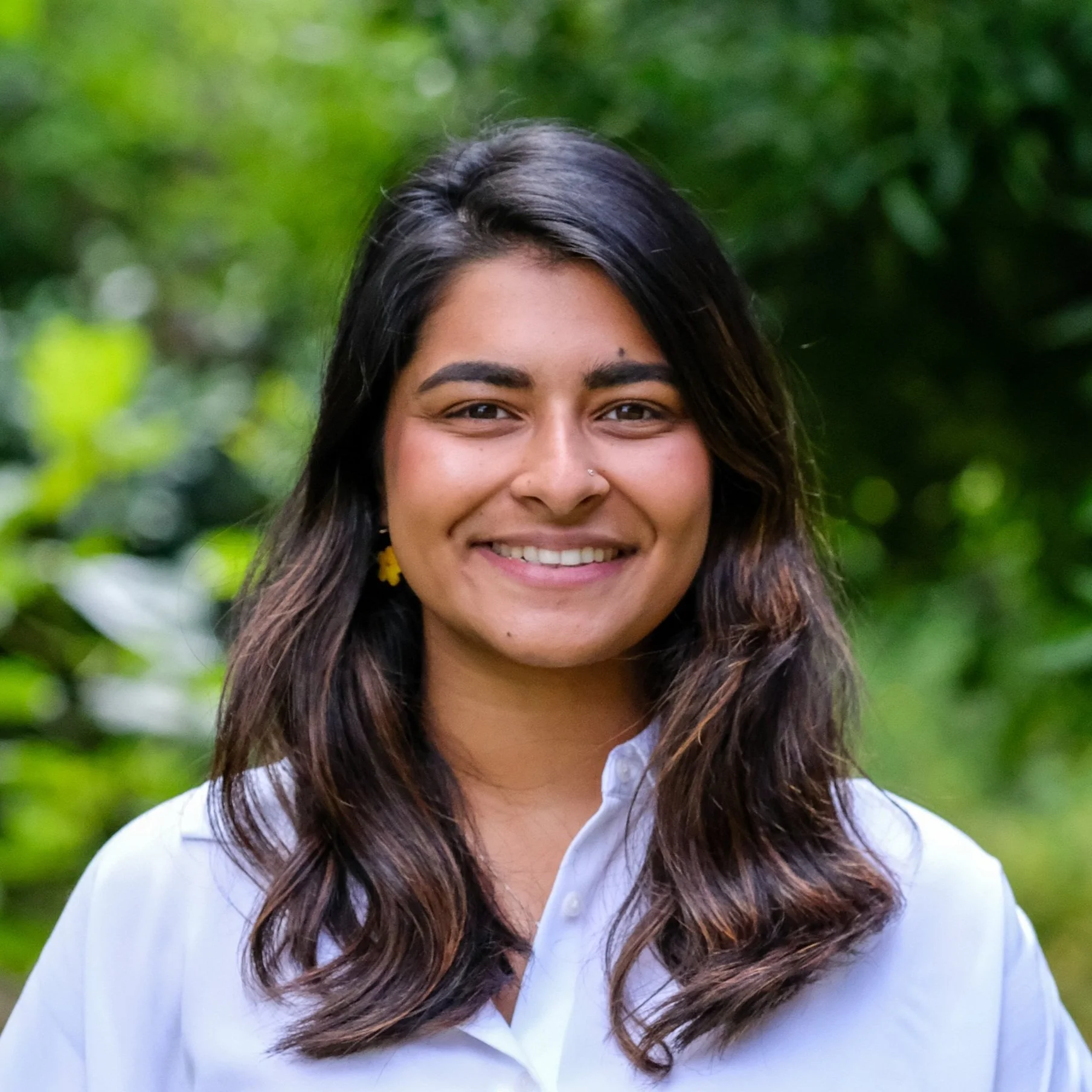 Our Team — Australian Progress