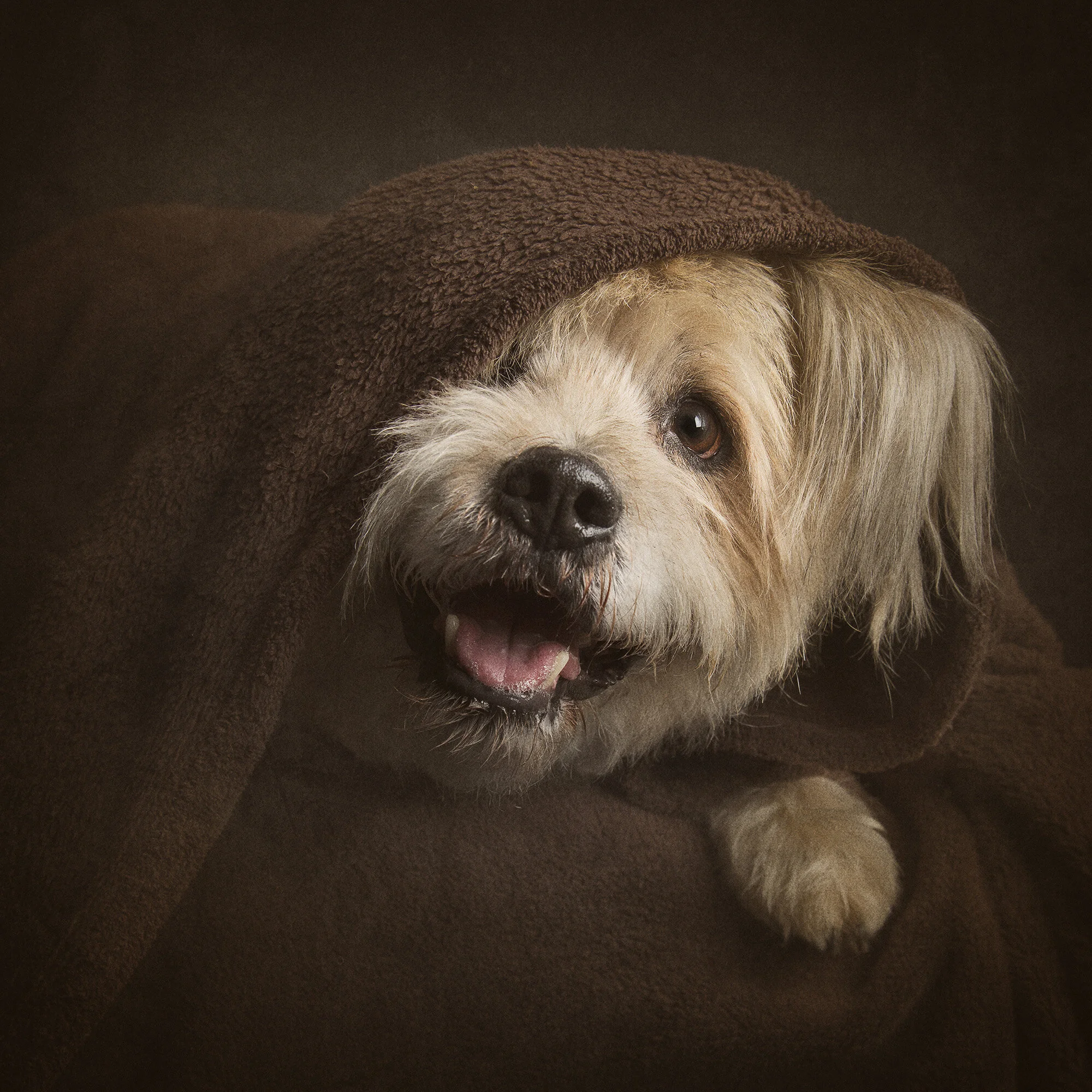 Ken Drake Photography