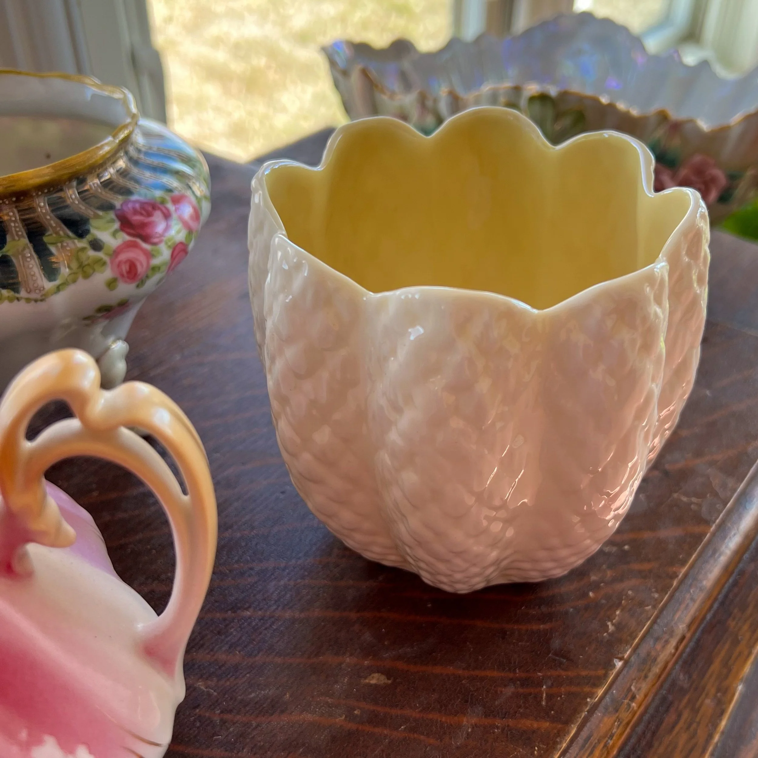 Shop — Renata's Garden