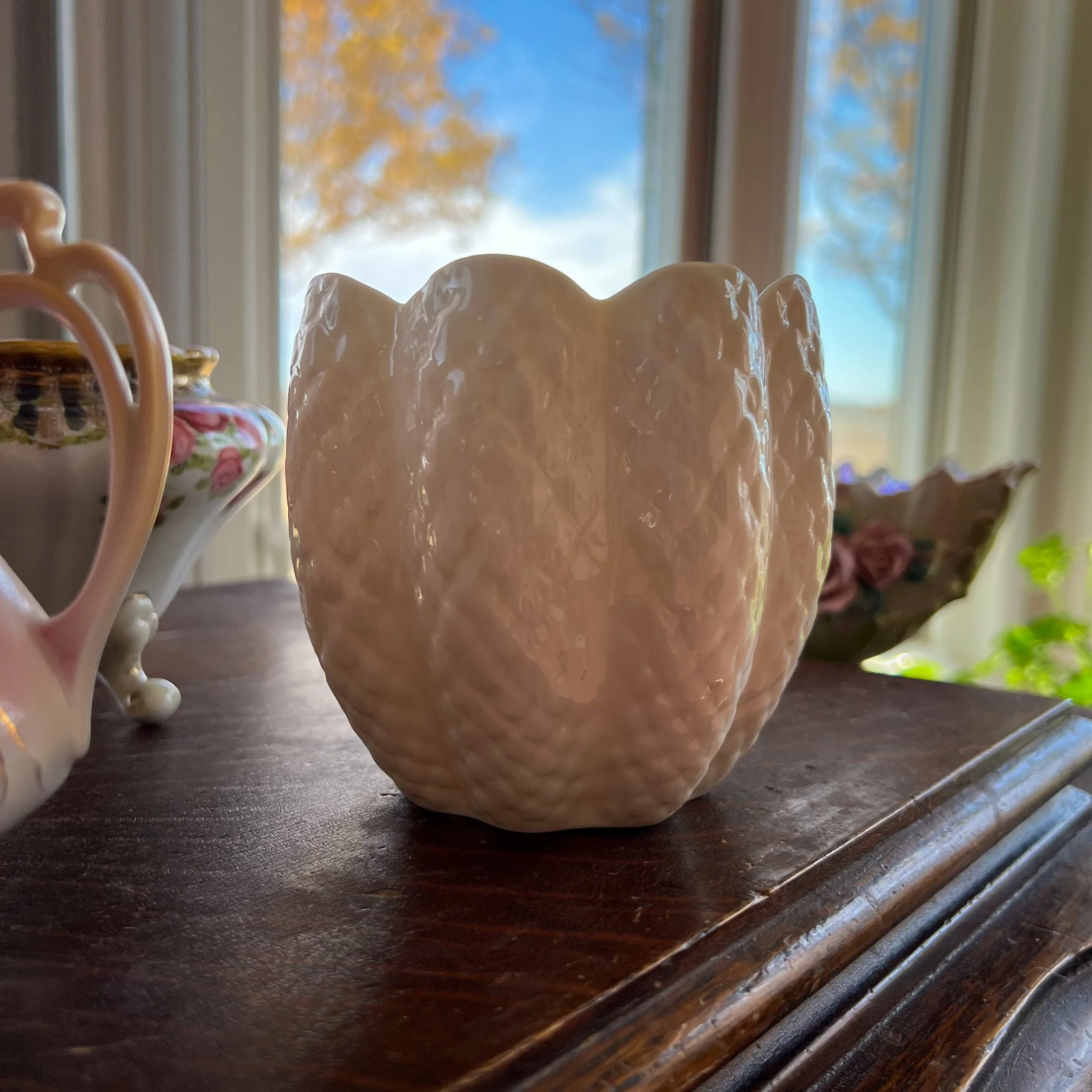 Shop — Renata's Garden