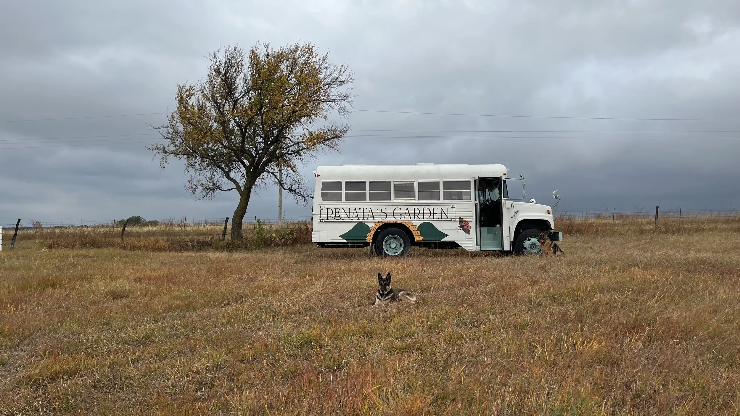 Plant Bus — Renata's Garden