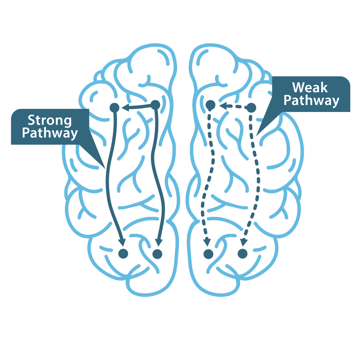 Online & In-Person Summer Programs