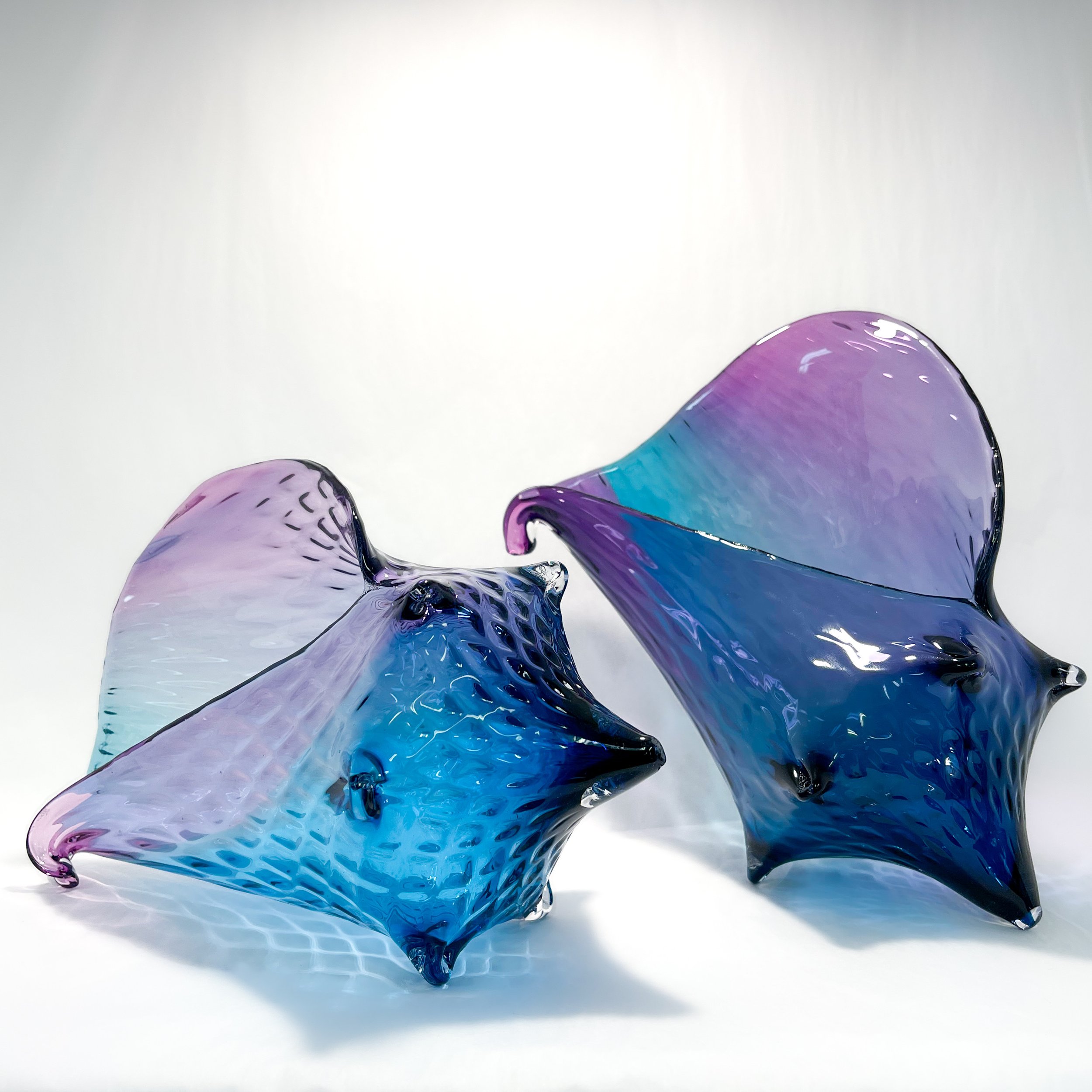 Classic Shells — Joe Hobbs