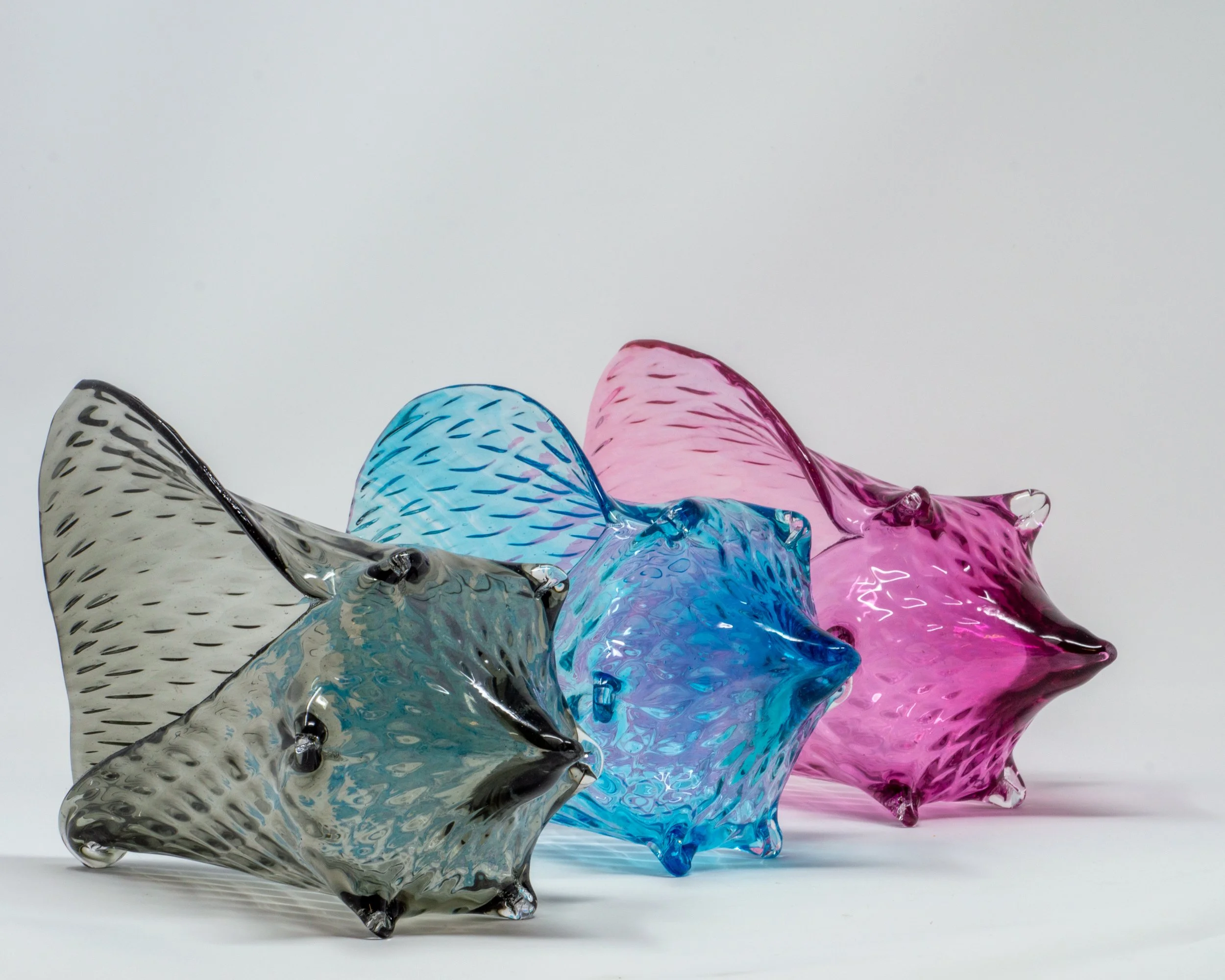 Shop Glass Art — Joe Hobbs