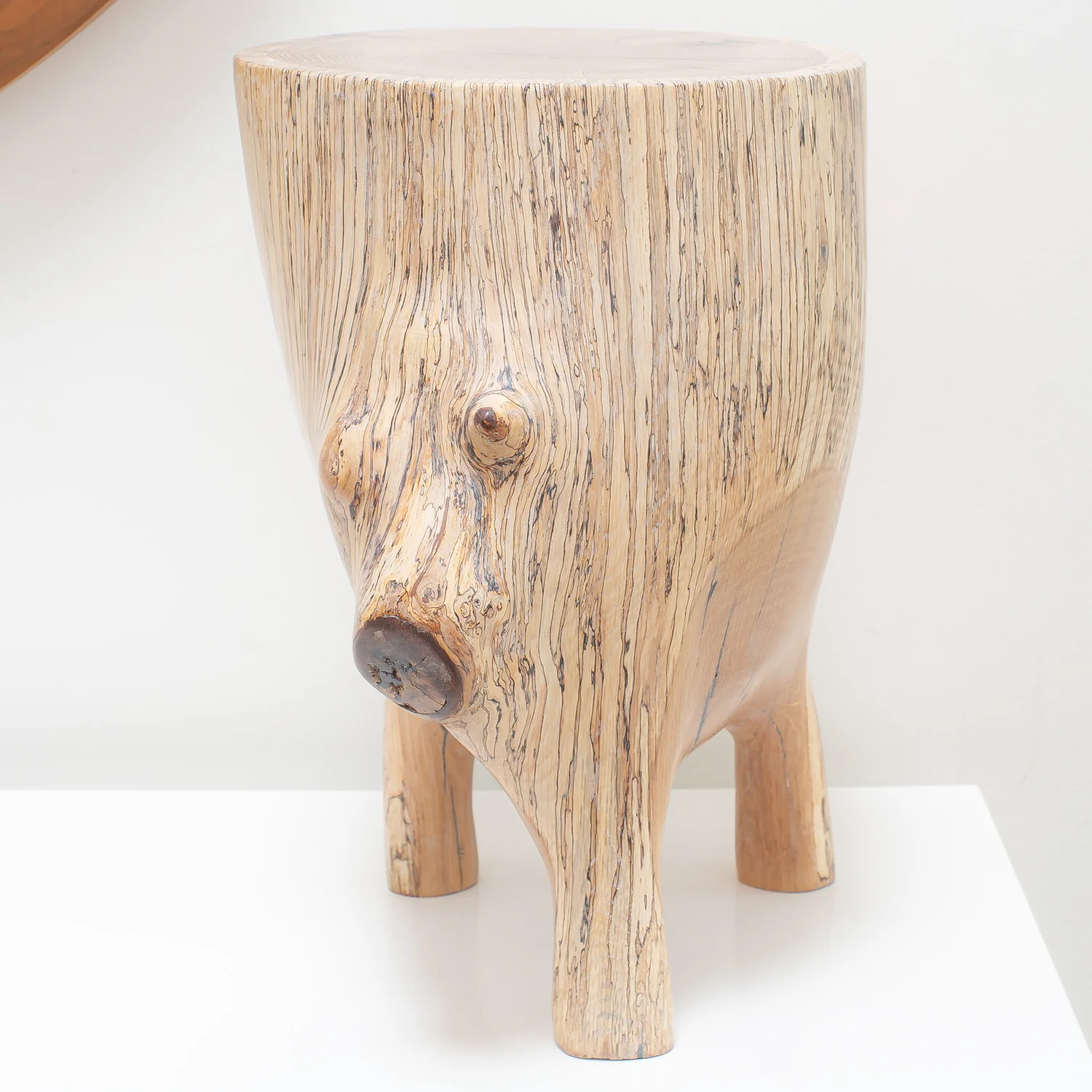 Spalted oak tree collection — + IAN LOVE | DESIGN