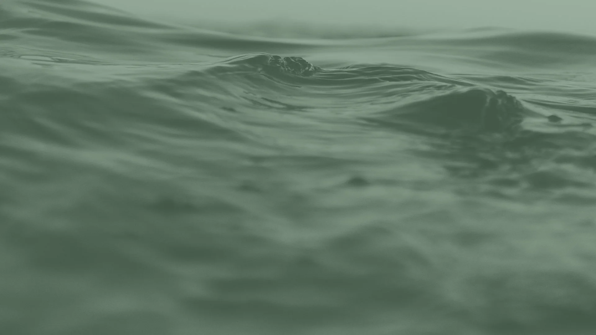 Sea + Water — The Herbalist Bells Beach Australian Skin Care