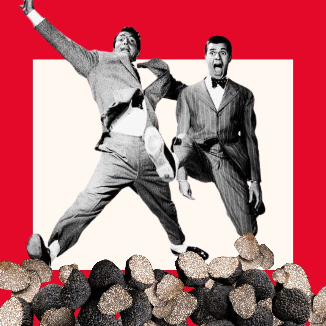 What's On — Salt Meats Cheese