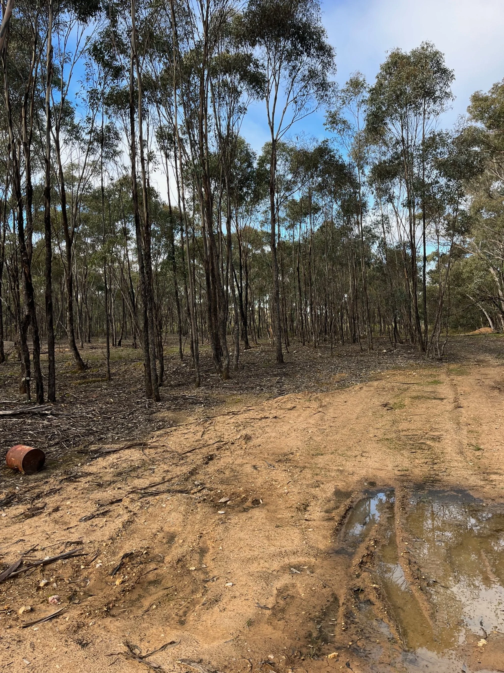 $85,000 Dunolly — Bush Blocks and Buildings