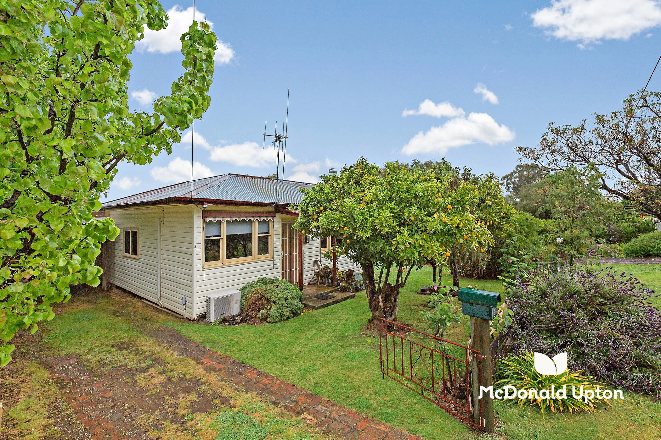 Established Homes — Bush Blocks and Buildings