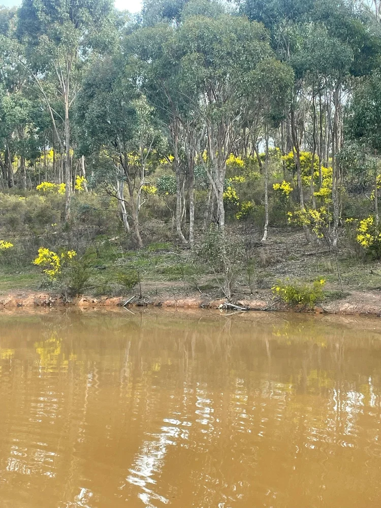 Buy Bush Blocks — Bush Blocks and Buildings